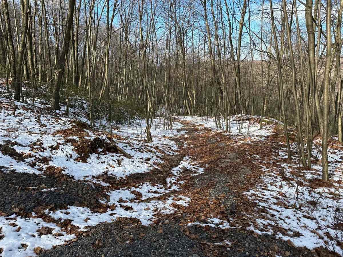 Locust Gap Single Track 1 | Off-Road Trail Maps, Difficulty, Trail ...