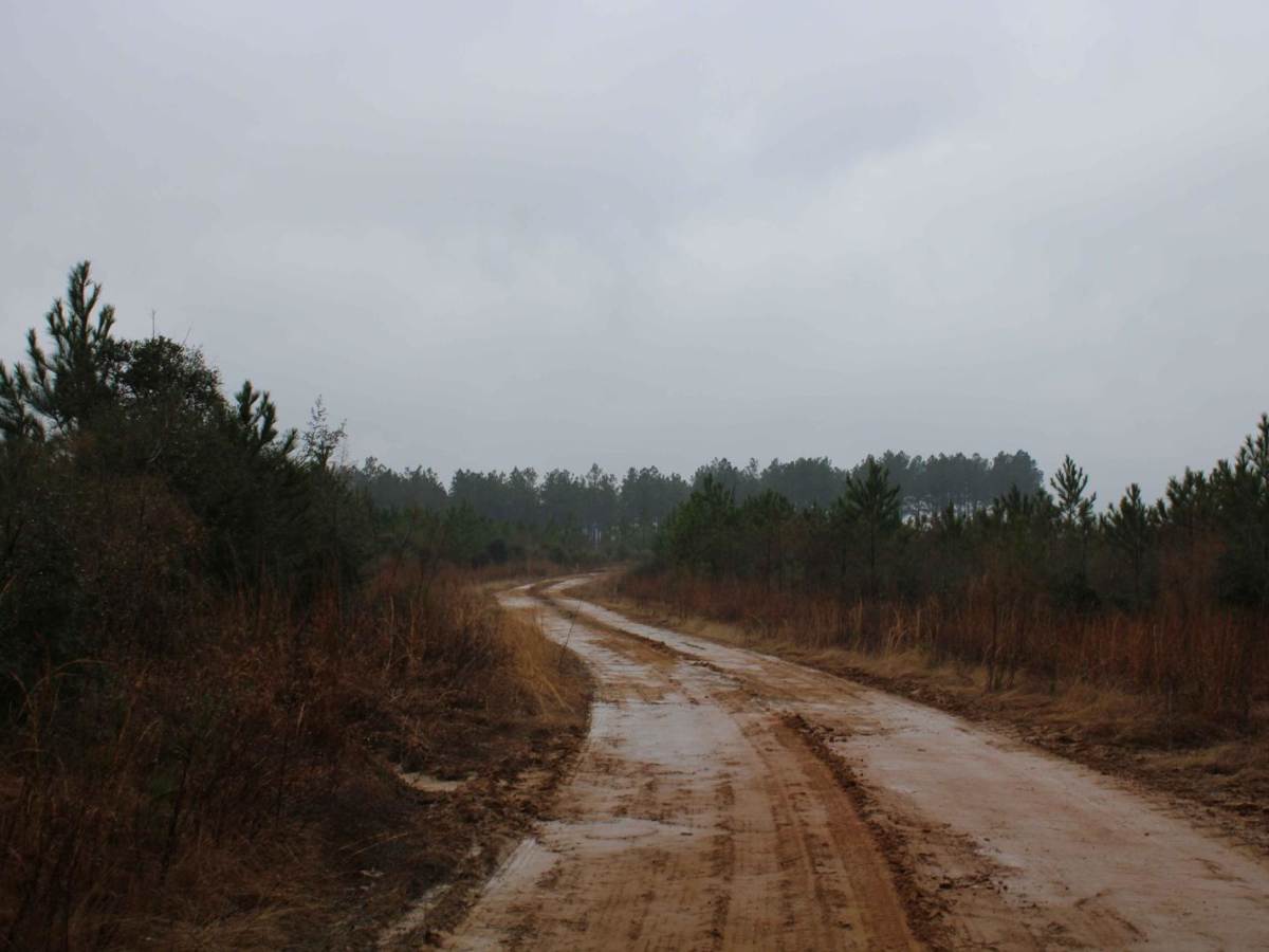 Carthage Timberlands to Kisatchie | Off-Road Trail Maps, Difficulty ...