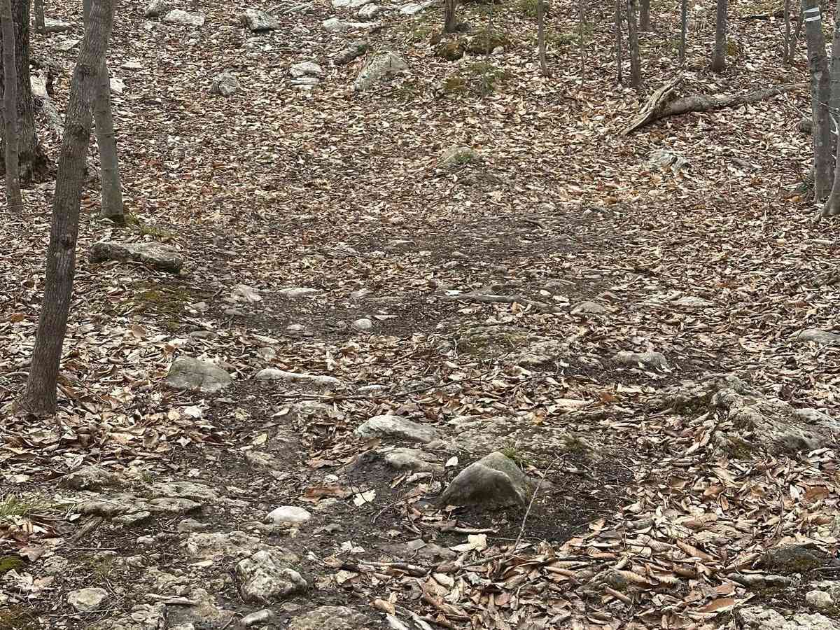 South Loop | Off-Road Trail Maps, Difficulty, Trail Status | onX Offroad