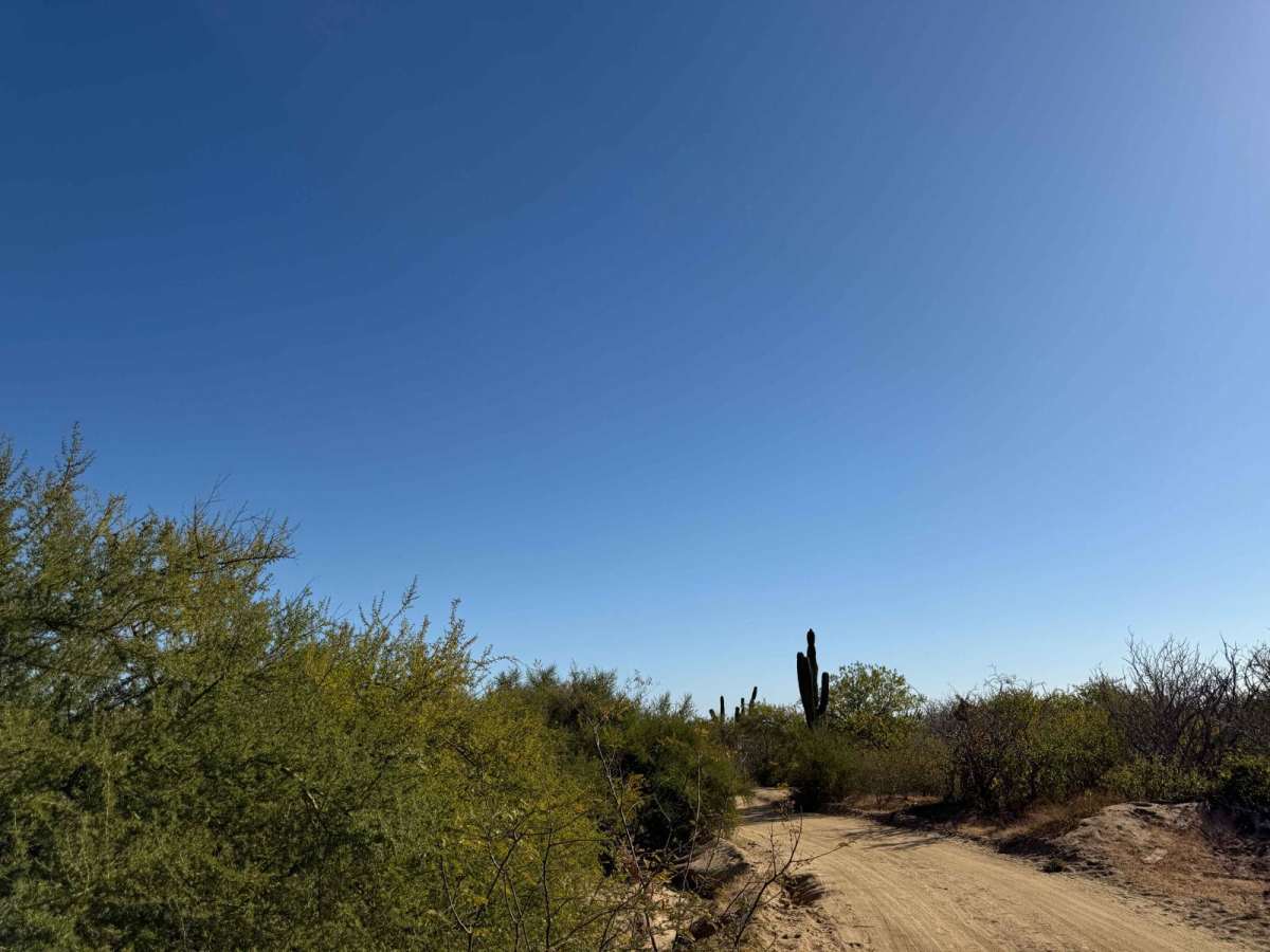 Pista de Salto | Off-Road Trail Maps, Difficulty, Trail Status | onX ...