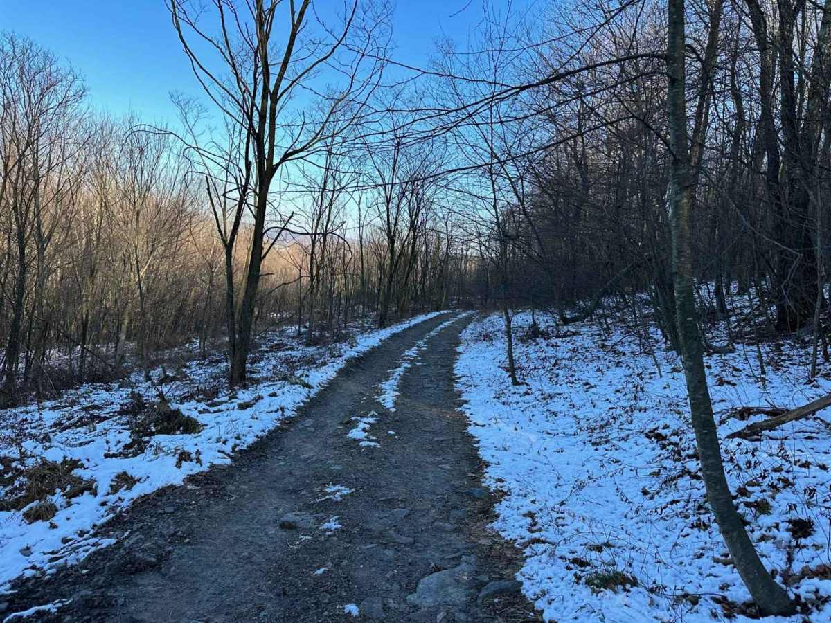 Locust Gap 7 - Northeast | Off-Road Trail Maps, Difficulty, Trail ...