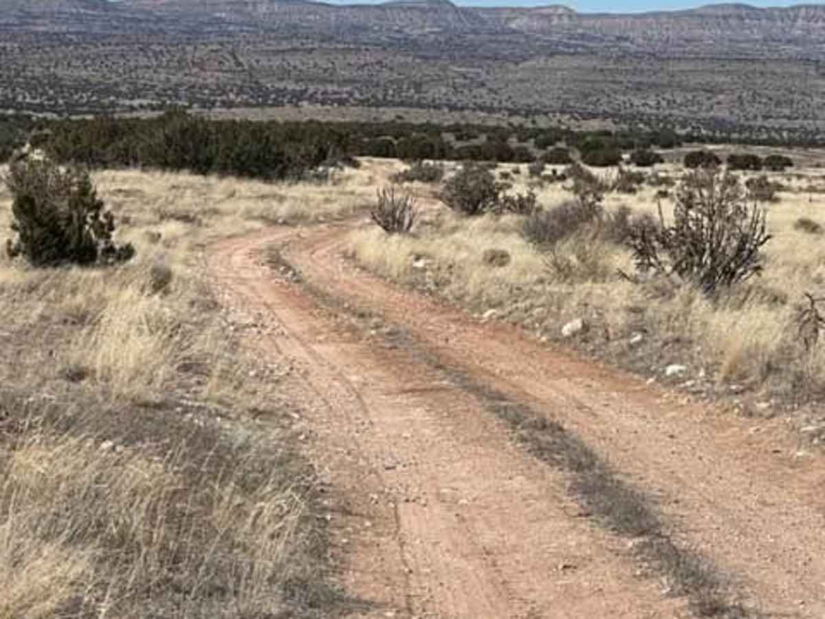 Ladron Wilderness Shortcut | Off-Road Trail Maps, Difficulty, Trail ...