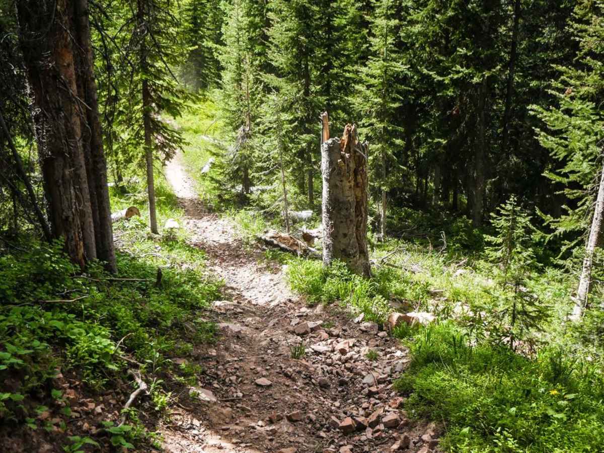 Farwell Mountain | Off-Road Trail Maps, Difficulty, Trail Status | onX ...