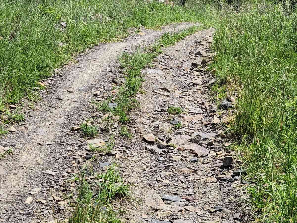 Trail 8 - Rock Run Recreation Area | Off-Road Trail Maps, Difficulty ...