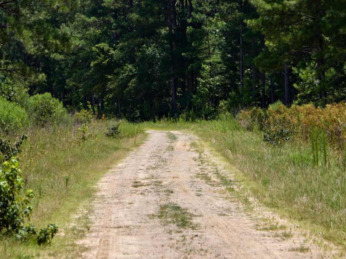 Outer Gregory Field Loop | Off-Road Trail Maps, Difficulty, Trail ...