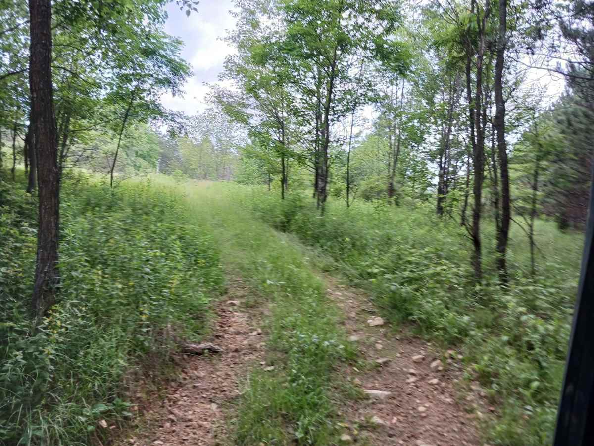 Trail 11G - Rock Run Recreation Area | Off-Road Trail Maps, Difficulty ...
