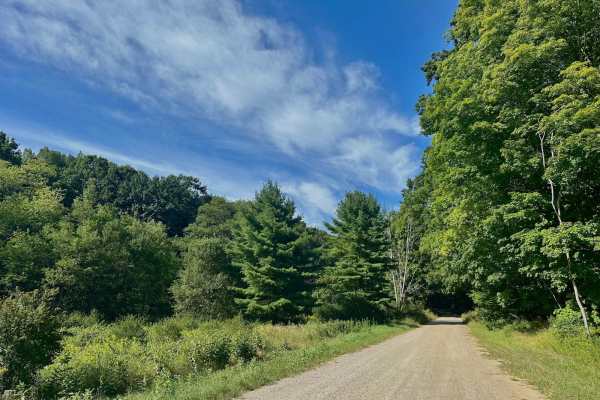 Best Off-Road Trails Near Pilgrim, Michigan | Maps, Ratings & Info | onX