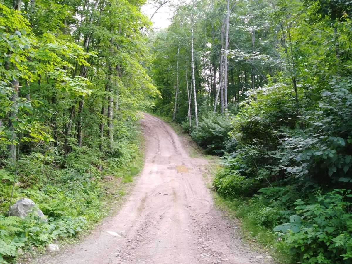 Emily/Outing ATV B Trail | Off-Road Trail Maps, Difficulty, Trail ...