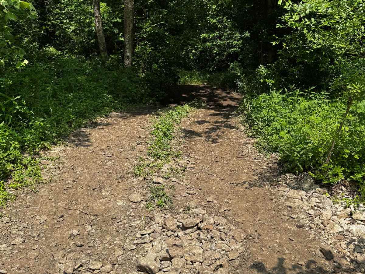 Green 74 | Off-Road Trail Maps, Difficulty, Trail Status | onX Offroad