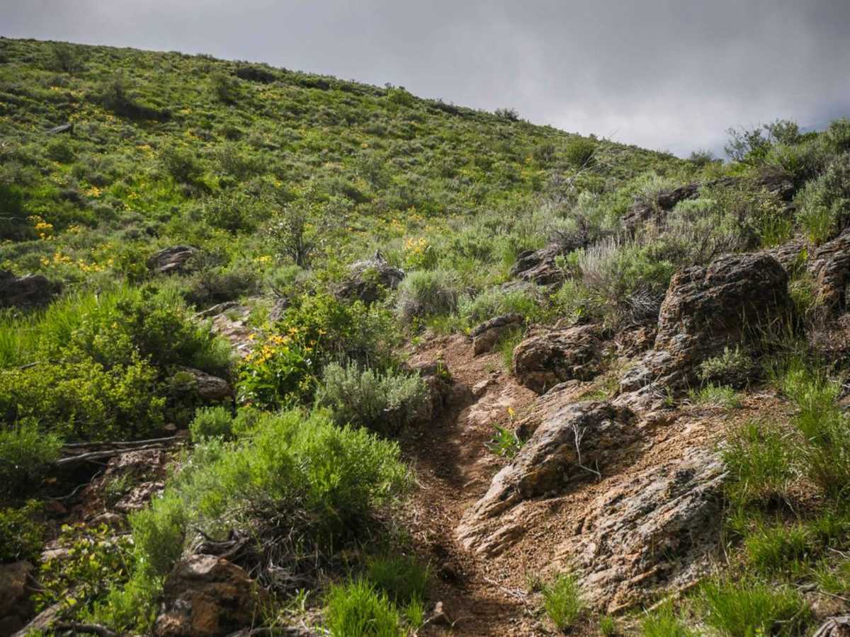 Middle Fork Shoshone Creek | Off-Road Trail Maps, Difficulty, Trail ...