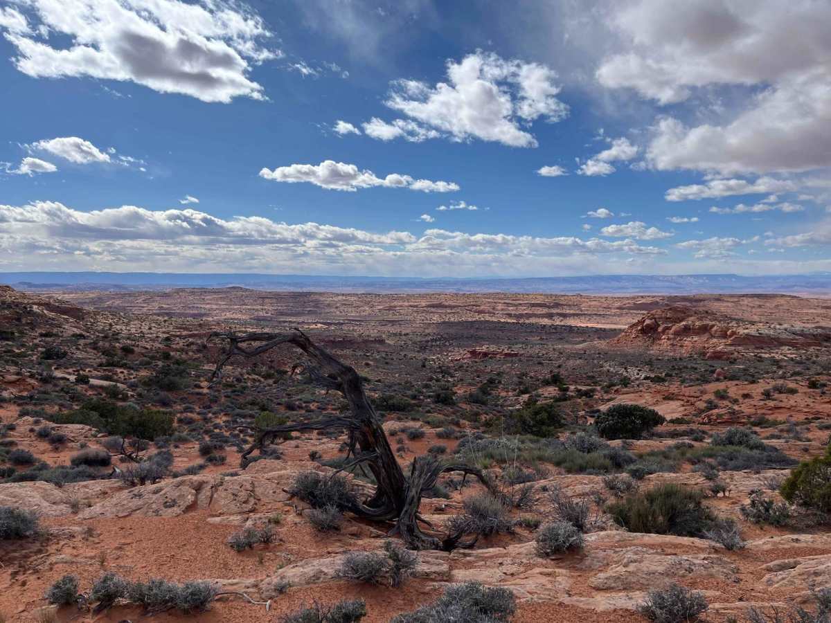 Lookout Point | Off-Road Trail Maps, Difficulty, Trail Status | onX Offroad
