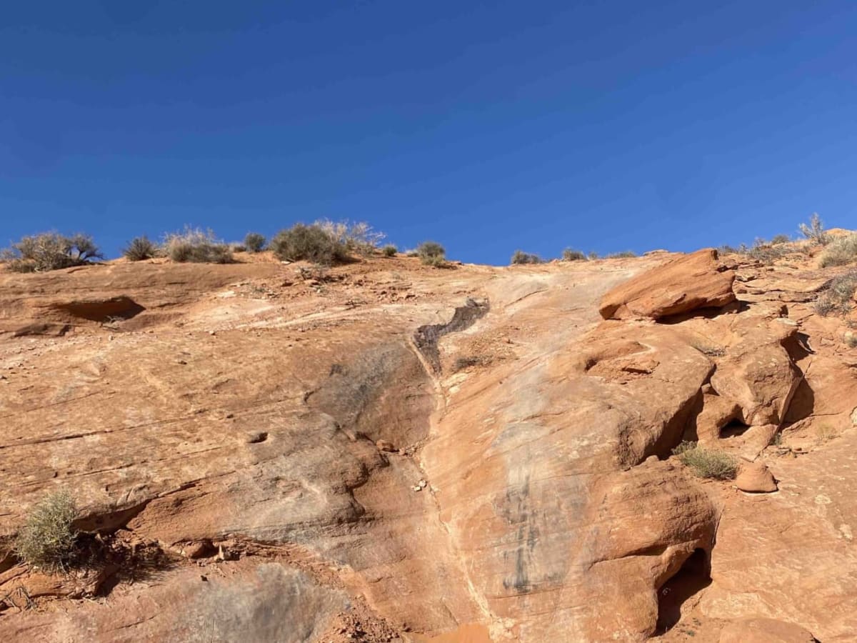 Turtle 2 | Off-Road Trail Maps, Difficulty, Trail Status | onX Offroad