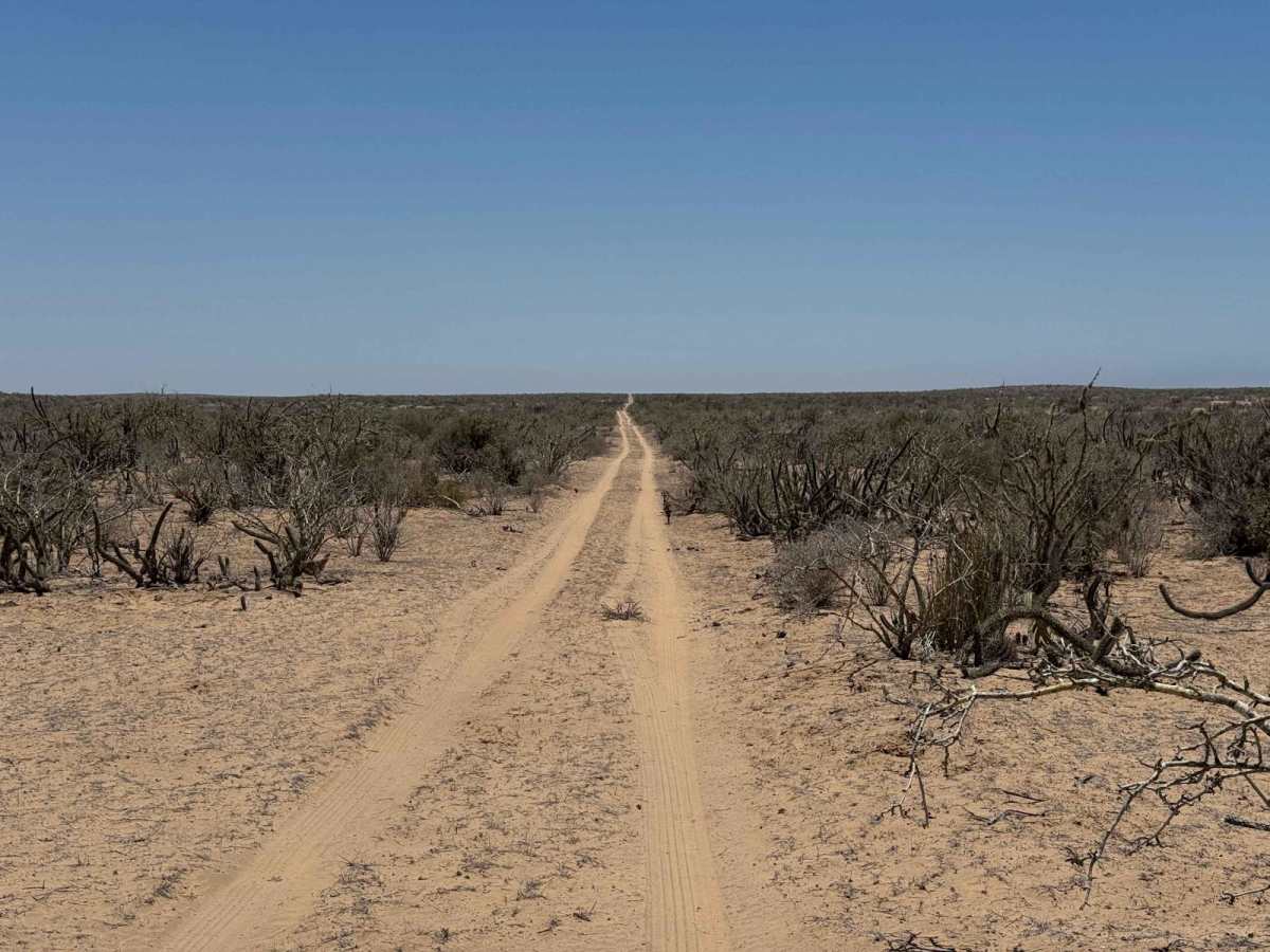 North-South Low Cross | Off-Road Trail Maps, Difficulty, Trail Status ...
