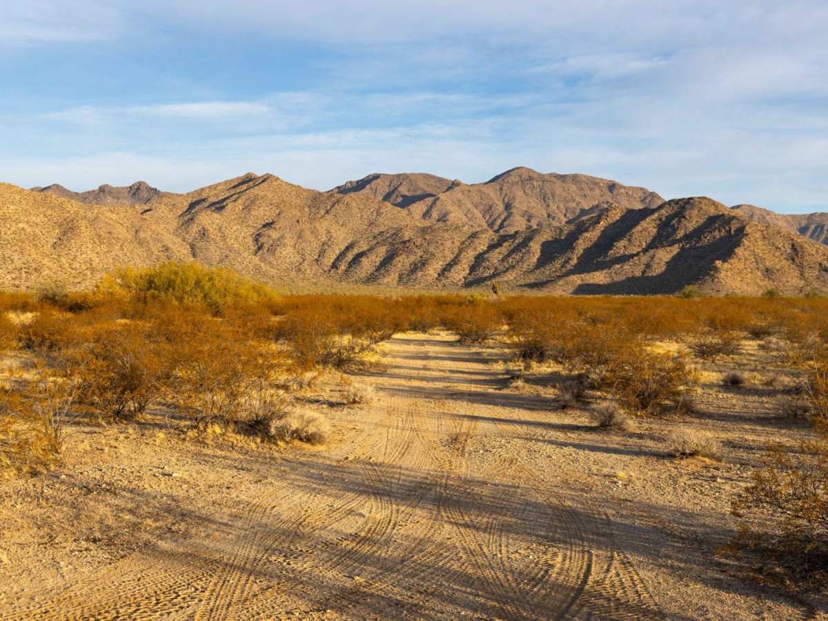 Cholla Camp | Off-Road Trail Maps, Difficulty, Trail Status | onX Offroad