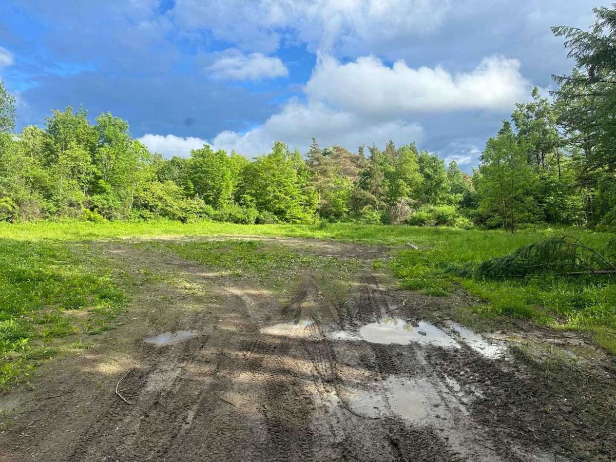 Runner Road (Seasonal) | Off-Road Trail Maps, Difficulty, Trail Status ...