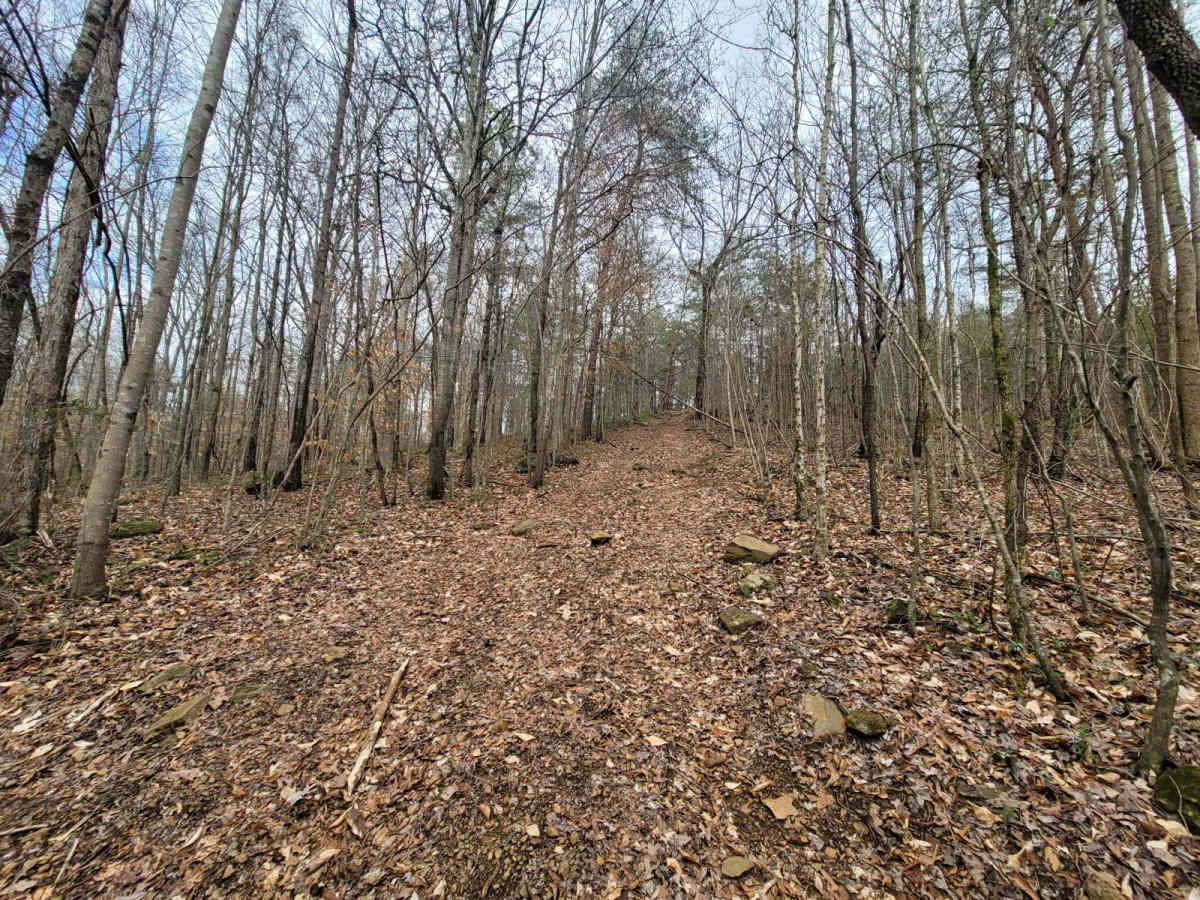 Hornets Nest Bypass | Off-Road Trail Maps, Difficulty, Trail Status ...