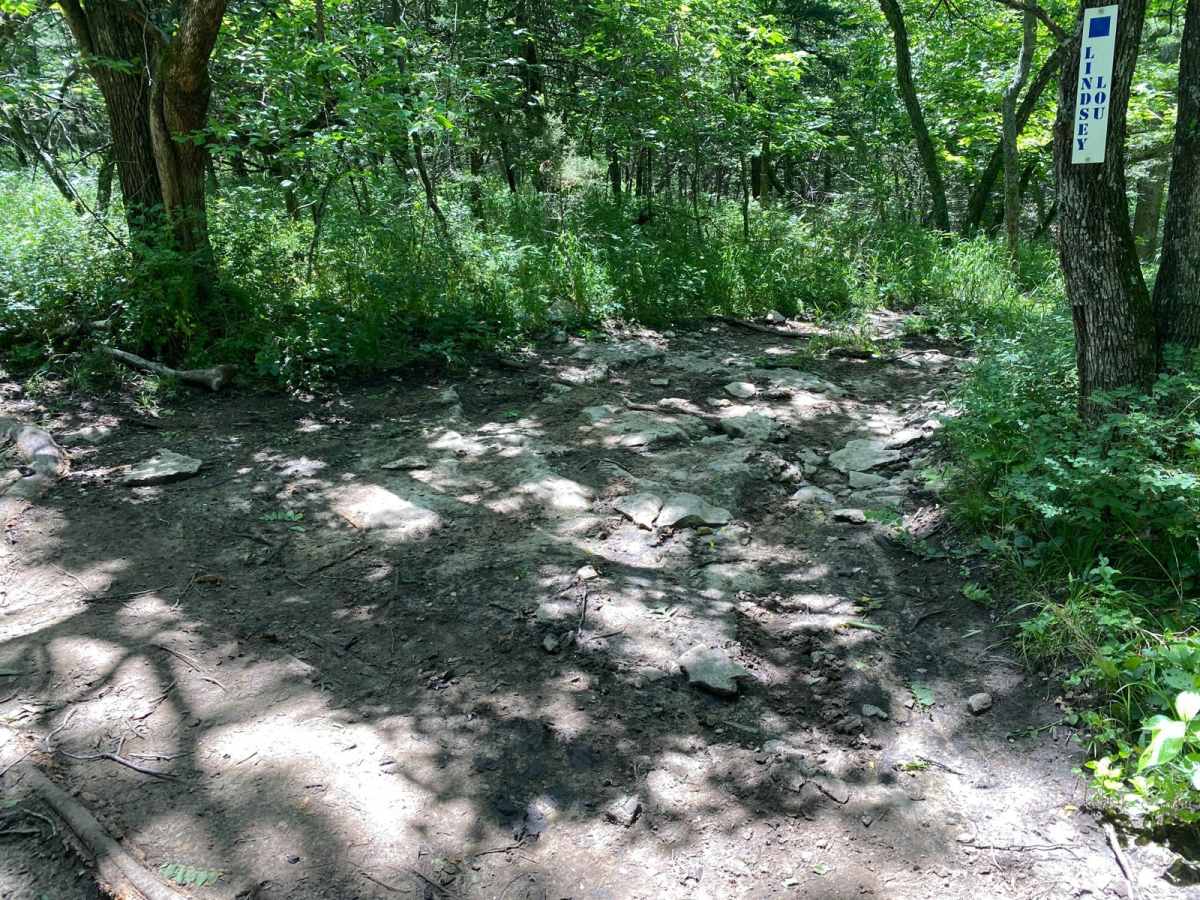 Lindsey Lou | Off-Road Trail Maps, Difficulty, Trail Status | onX Offroad