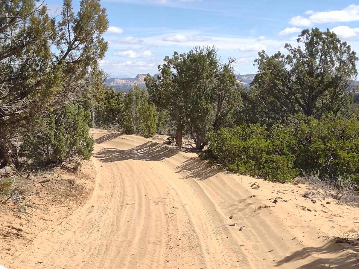 Mansard Trail North (BLM 104) | Off-Road Trail Maps, Difficulty, Trail ...