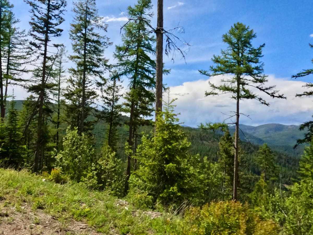 W. Nine Mile Rd (5520)-First Cr Rd (5475) | Off-Road Trail Maps ...