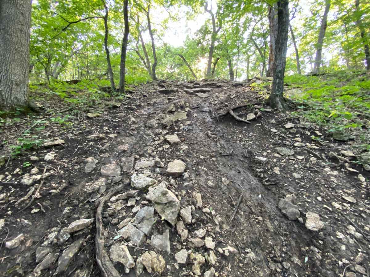 Step Up | Off-Road Trail Maps, Difficulty, Trail Status | onX Offroad