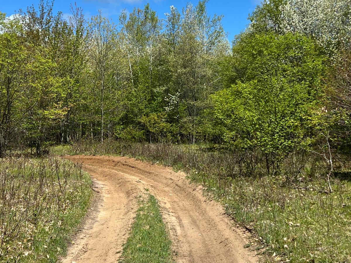 AG Trail | Off-Road Trail Maps, Difficulty, Trail Status | onX Offroad