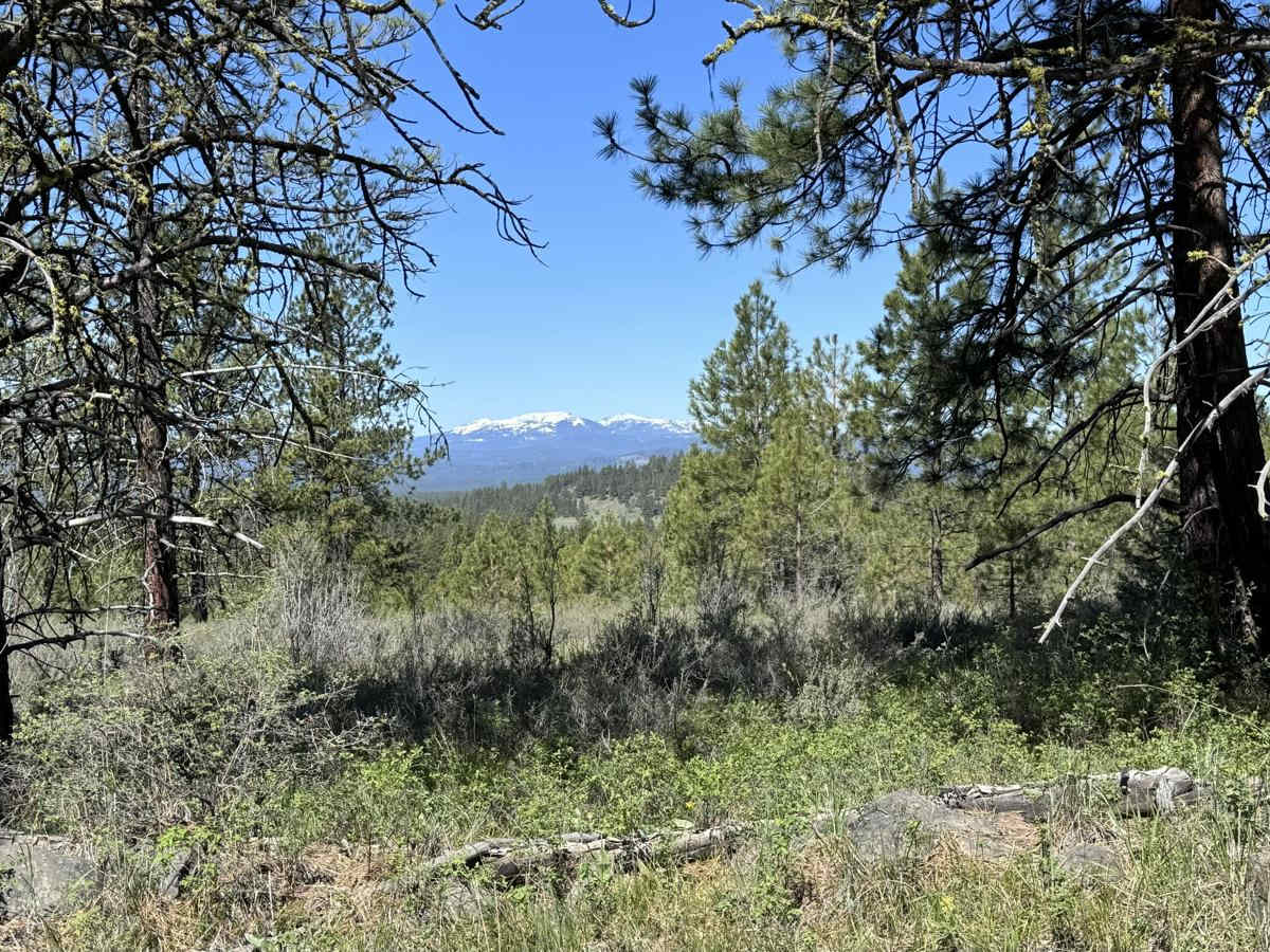 Panty Pass | Off-Road Trail Maps, Difficulty, Trail Status | onX Offroad