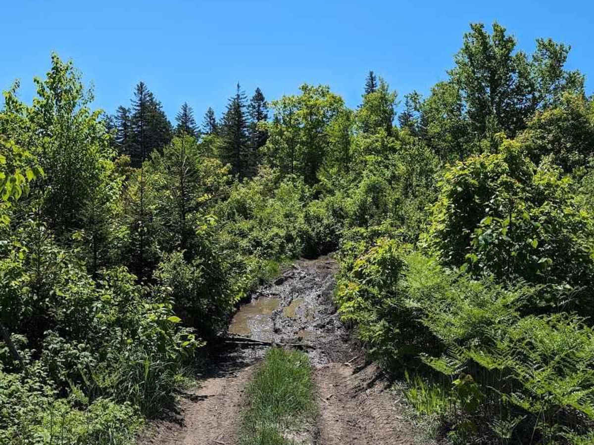 Flat Top Mountain | Off-Road Trail Maps, Difficulty, Trail Status | onX ...