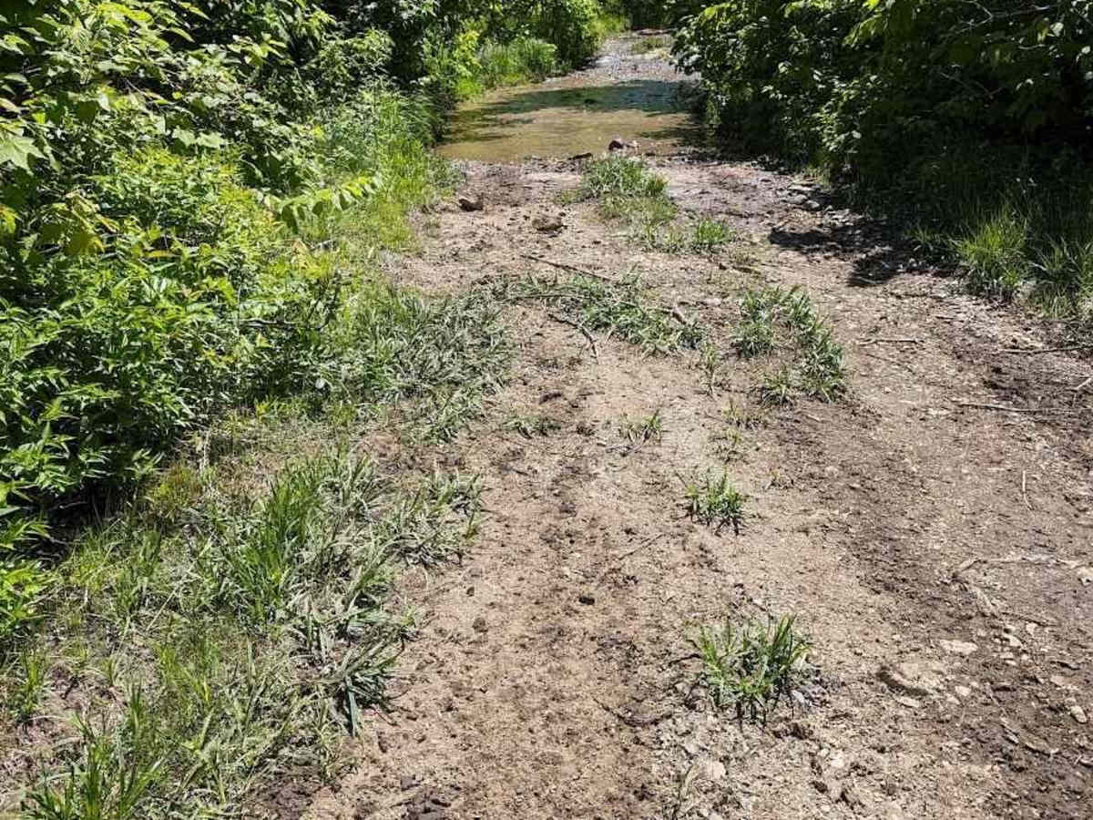 Flat Top Mountain | Off-Road Trail Maps, Difficulty, Trail Status | onX ...
