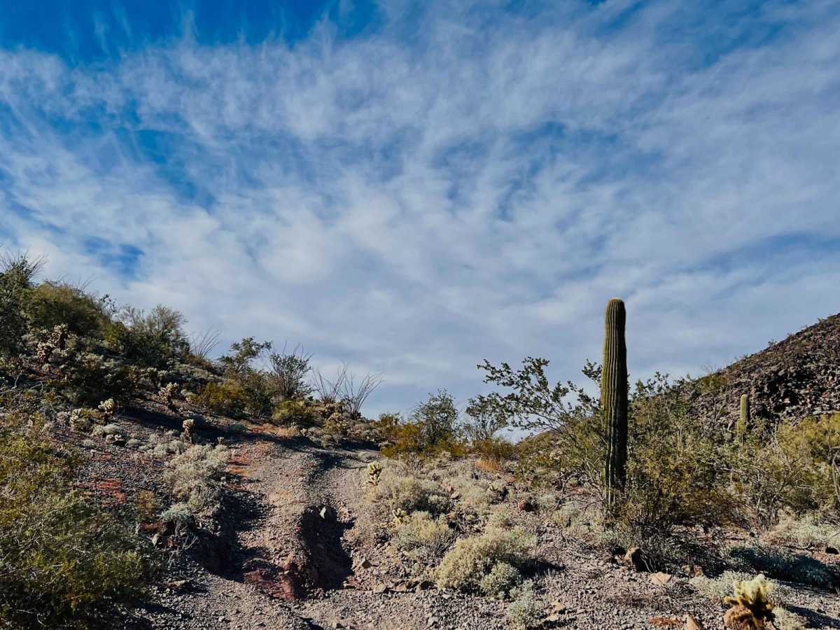 Sheep Tank Mine Road (BLM) | Off-Road Trail Maps, Difficulty, Trail ...
