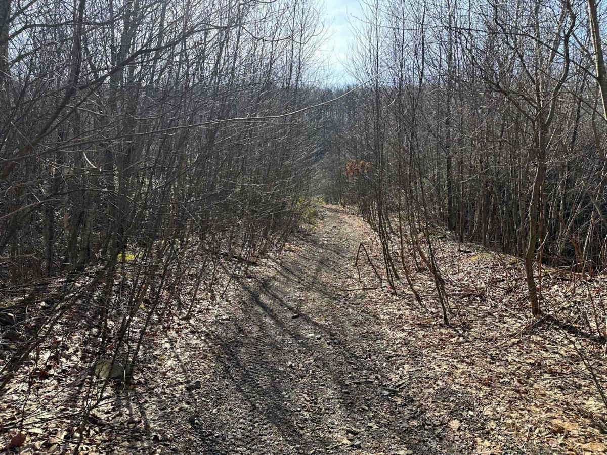 Locust Gap 42 | Off-Road Trail Maps, Difficulty, Trail Status | onX Offroad