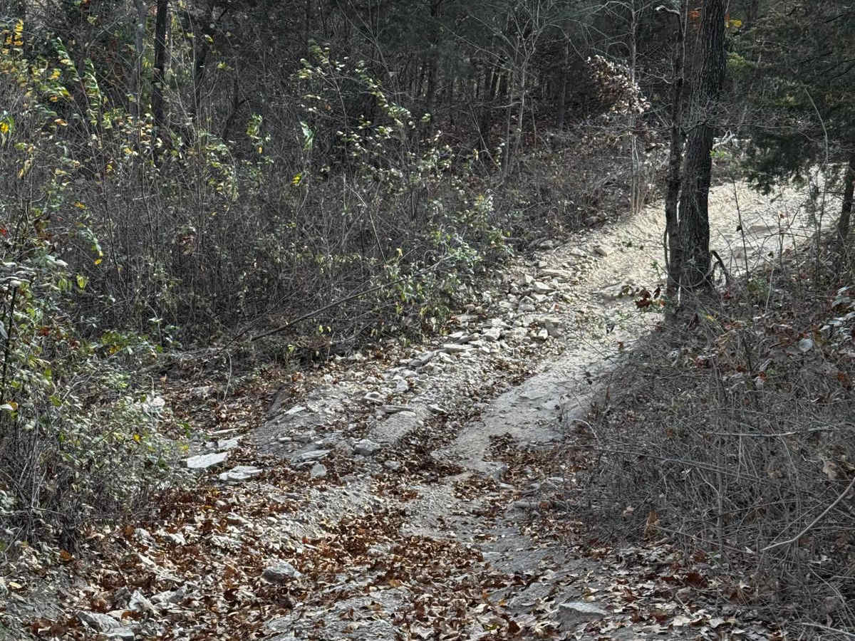 Maze Jaunt 2 | Off-Road Trail Maps, Difficulty, Trail Status | onX Offroad