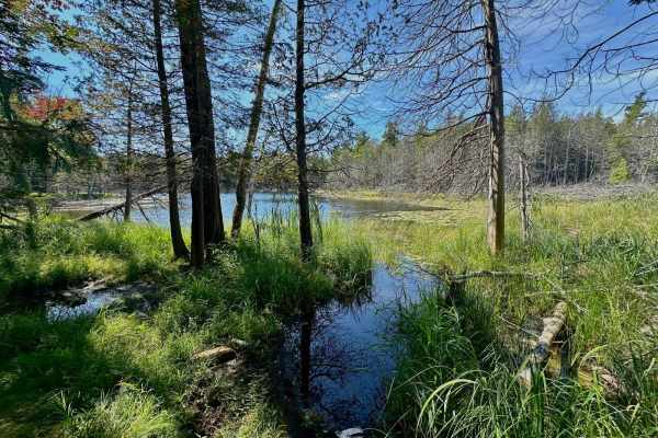 Best Off-Road Trails Near Pilgrim, Michigan | Maps, Ratings & Info | onX