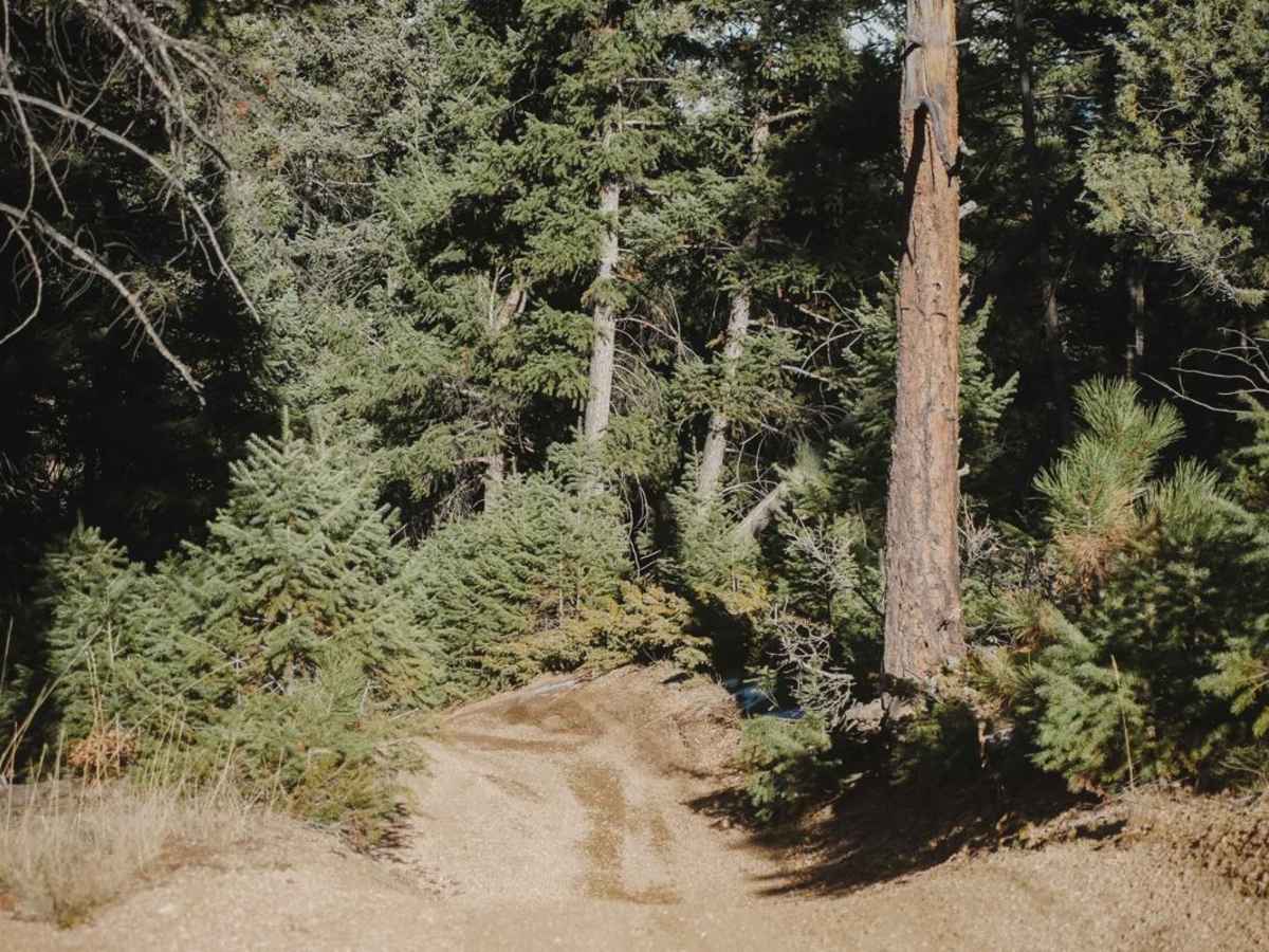 685 Tomahawk ATV Trail | Off-Road Trail Maps, Difficulty, Trail Status ...