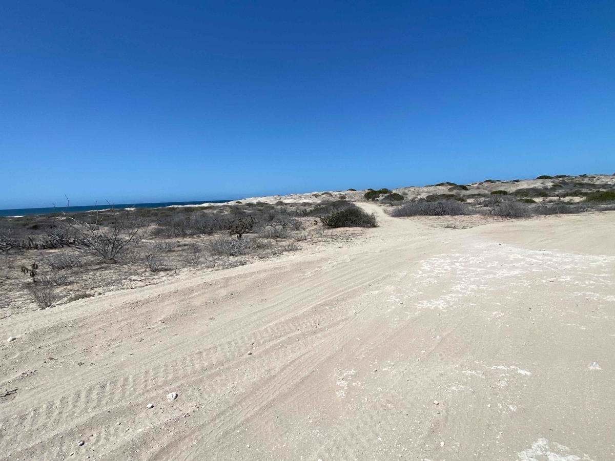 Flor De Malva | Off-Road Trail Maps, Difficulty, Trail Status | onX Offroad