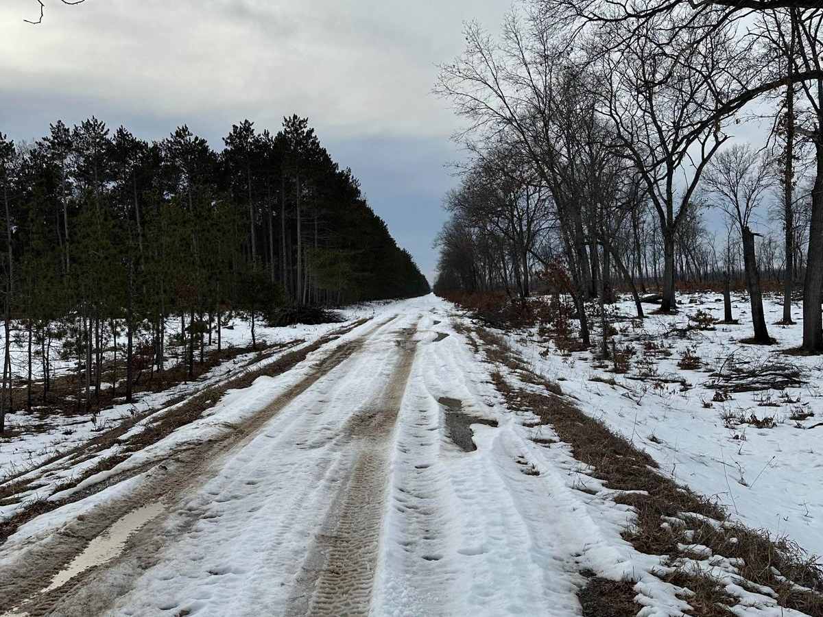 FS 4416 | Off-Road Trail Maps, Difficulty, Trail Status | onX Offroad