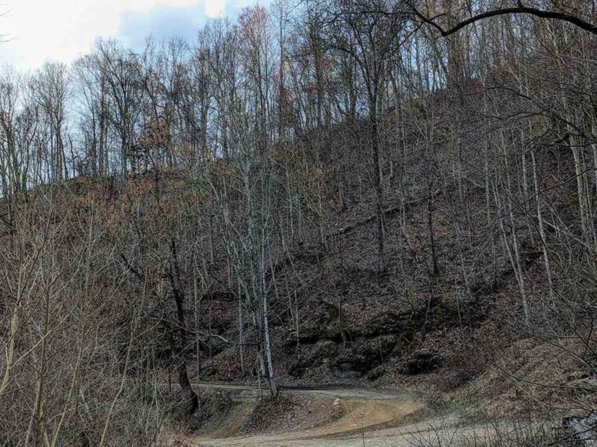 29 | Off-Road Trail Maps, Difficulty, Trail Status | onX Offroad