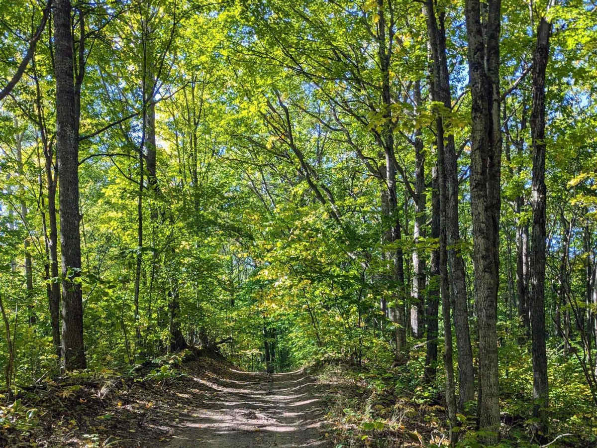 West Tower Road/ Mission Hill Lookout | Off-Road Trail Maps, Difficulty ...