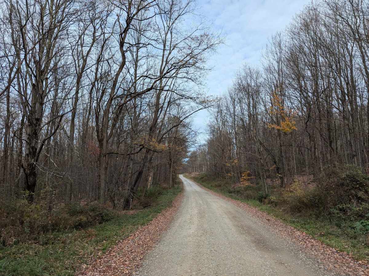 Fox Road | Off-Road Trail Maps, Difficulty, Trail Status | onX Offroad