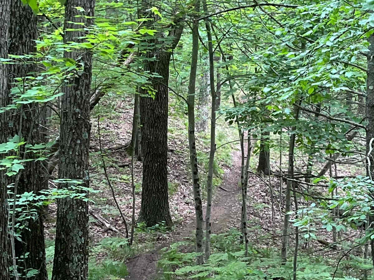 Holton Loop Motorcycle Trail South | Off-Road Trail Maps, Difficulty ...