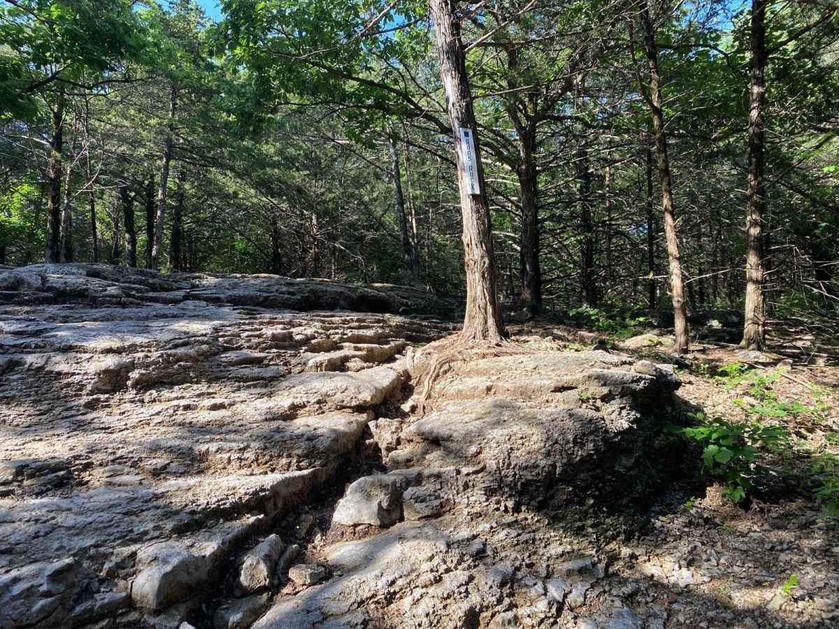 Ron's Rock | Off-Road Trail Maps, Difficulty, Trail Status | onX Offroad