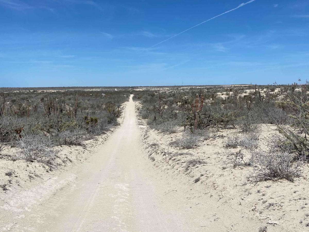 El Tepetate | Off-Road Trail Maps, Difficulty, Trail Status | onX Offroad