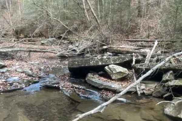 Best Off-Road Trails Near Morrison, Tennessee | Maps, Ratings & Info | onX