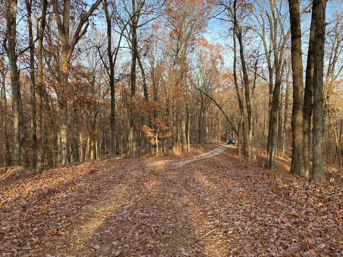 Lady Cemetery FSR 128 | Off-Road Trail Maps, Difficulty, Trail Status ...
