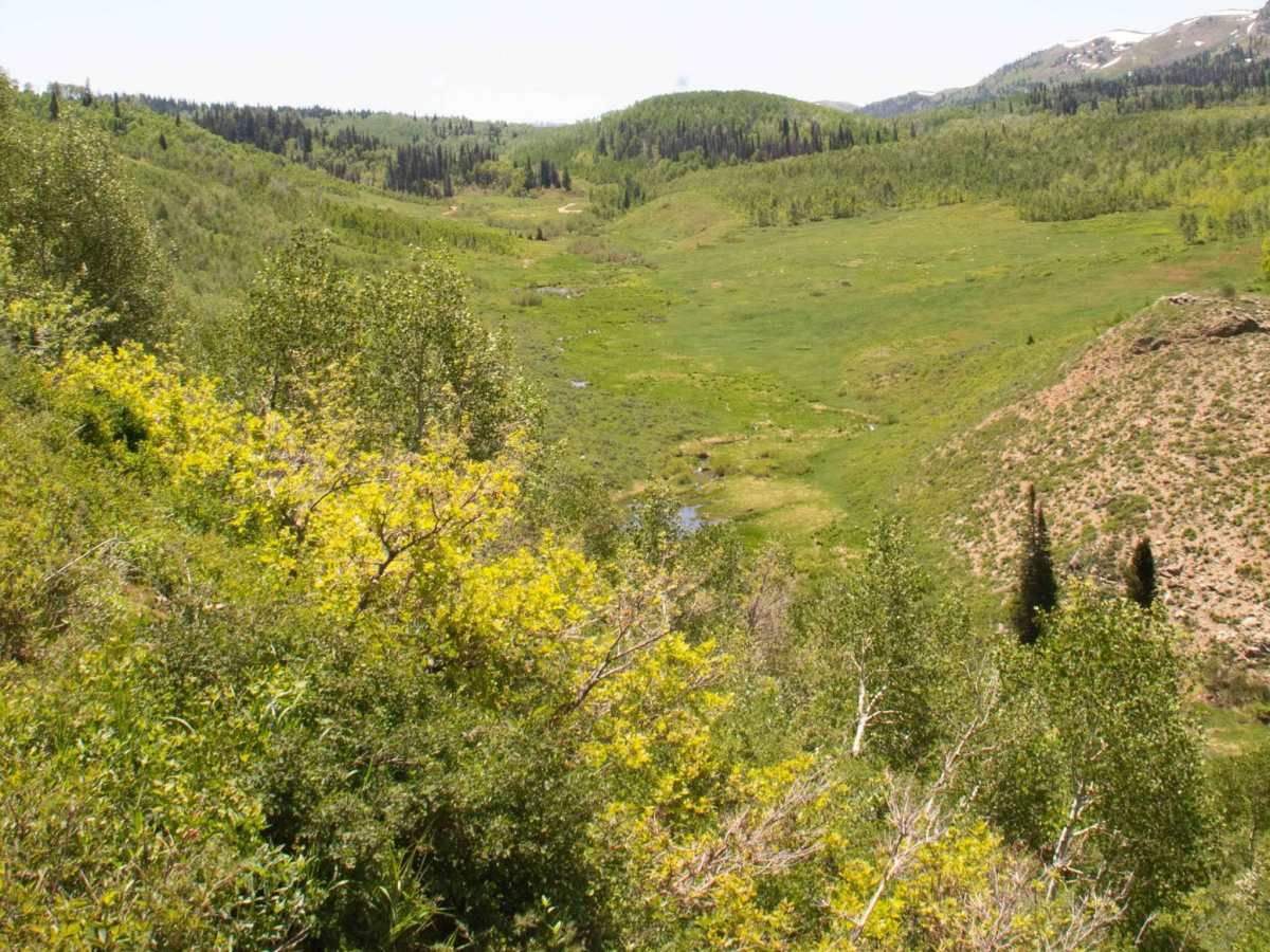 Farmington Flats | Off-Road Trail Maps, Difficulty, Trail Status | onX ...