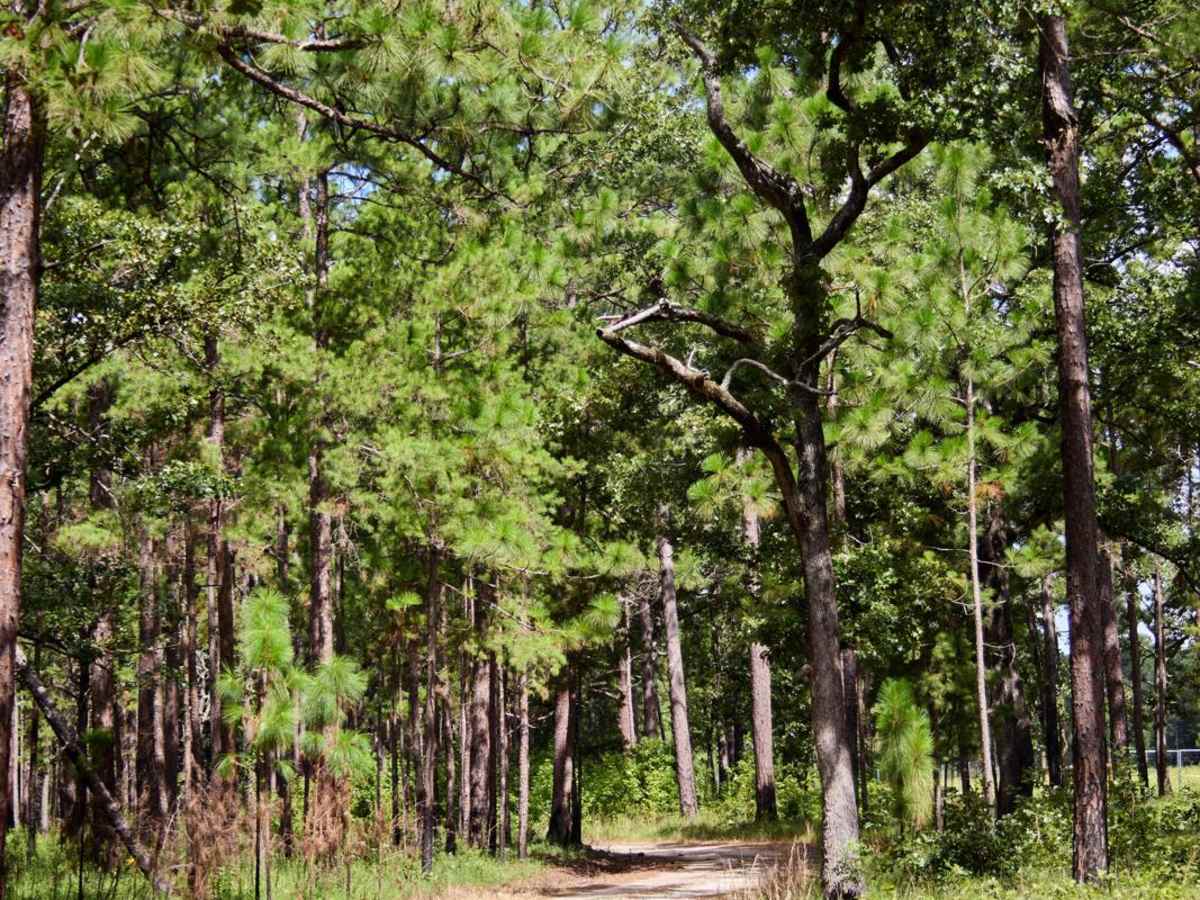Fish Pond Loop | Off-Road Trail Maps, Difficulty, Trail Status | onX ...