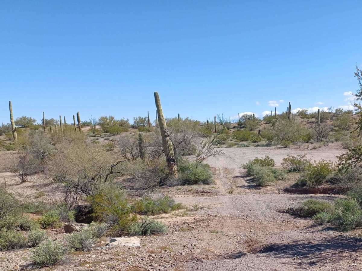 Locomotive Rock | Off-Road Trail Maps, Difficulty, Trail Status | onX ...