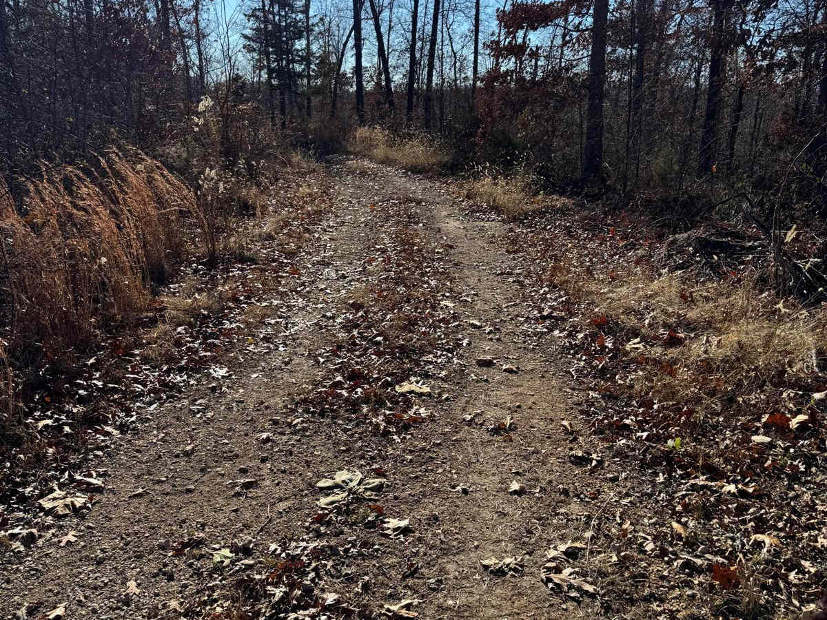 Green 230 | Off-Road Trail Maps, Difficulty, Trail Status | onX Offroad