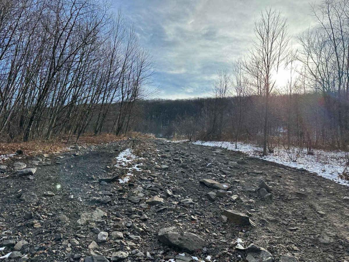 Locust Gap 29 | Off-Road Trail Maps, Difficulty, Trail Status | onX Offroad