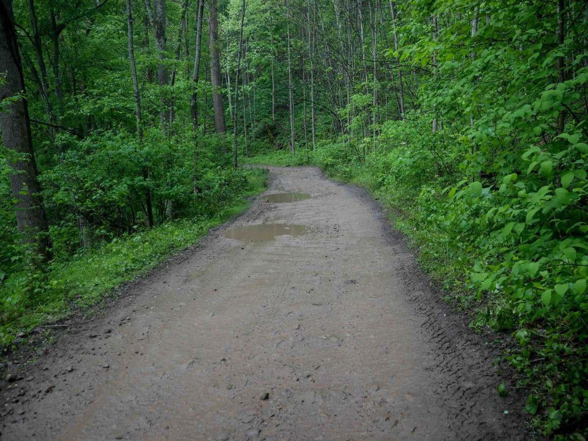 BM 20 | Off-Road Trail Maps, Difficulty, Trail Status | onX Offroad