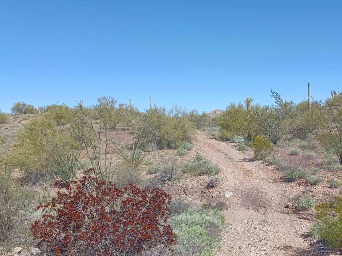 Locomotive Rock | Off-Road Trail Maps, Difficulty, Trail Status | onX ...